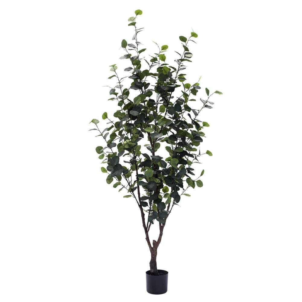 Штучна рослина Engard Eucalyptus 180 см (TW-15) (1109247) — купити на EVA.UA — ціна 5185 грн
