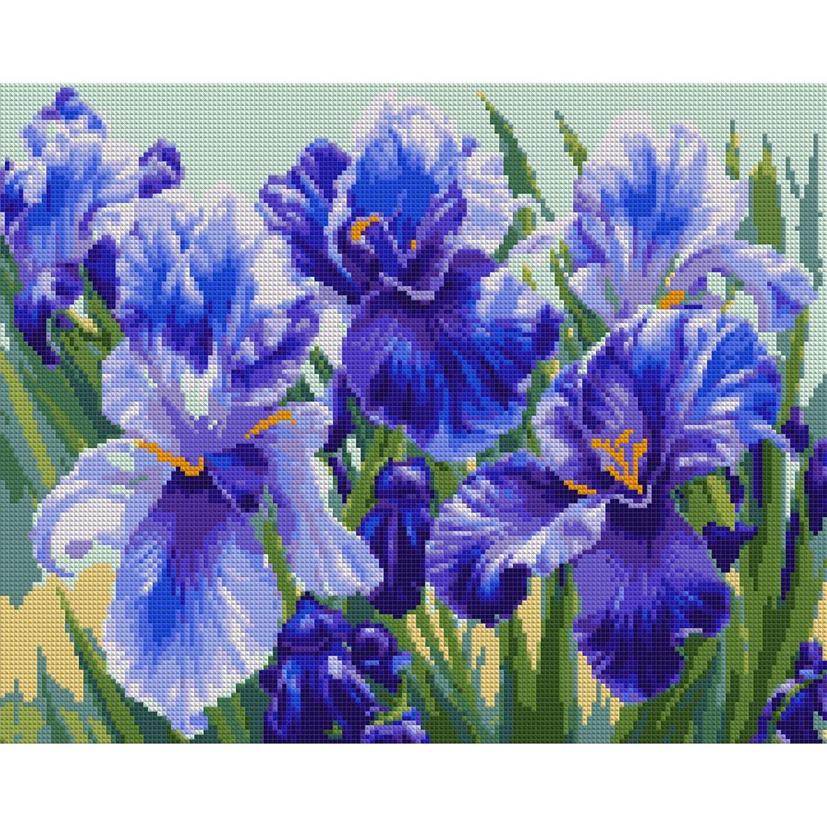 Алмазна мозаїка Santi Блакитні іриси 40 50см на підрамнику 954701 1423479 — купити на Eva Ua