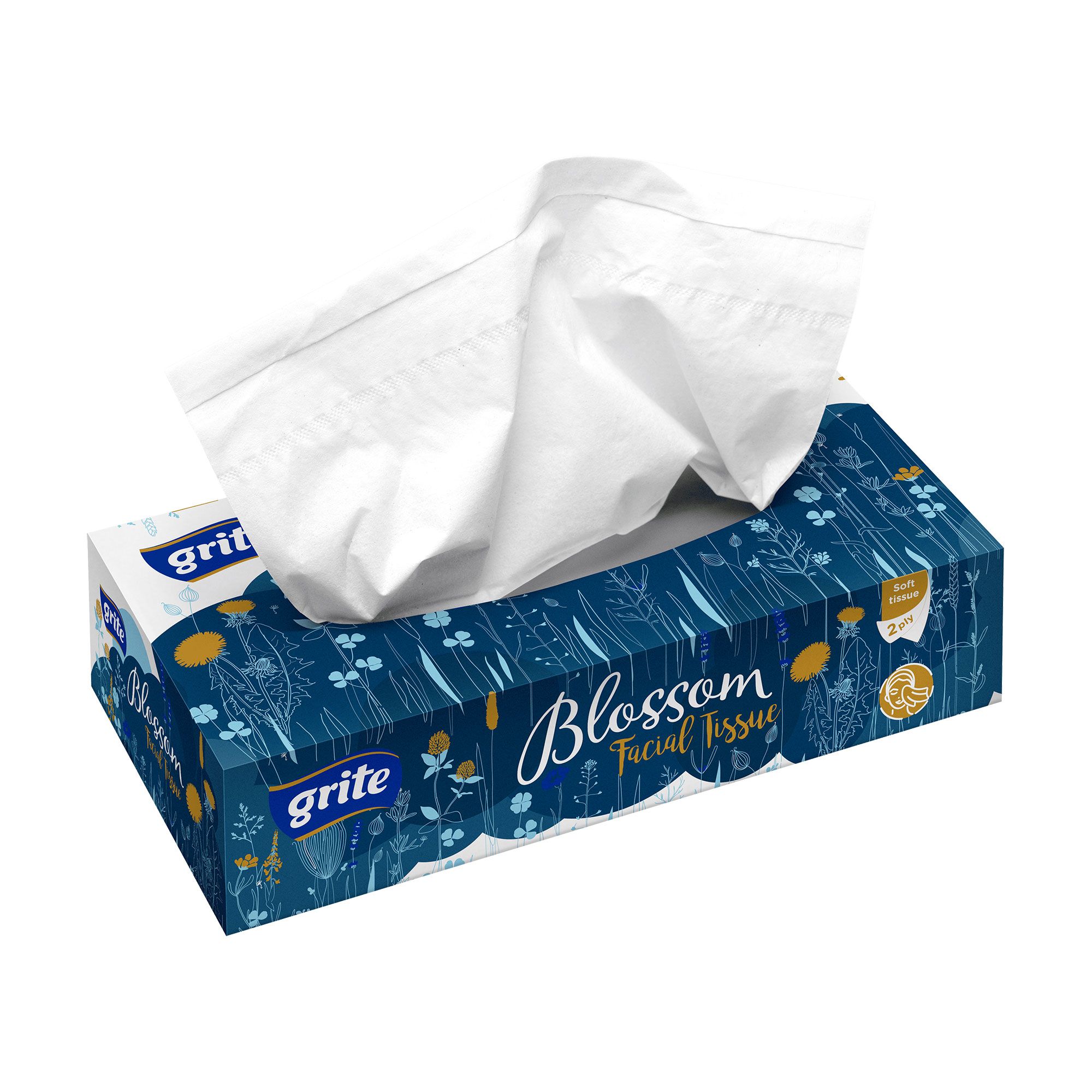 Косметичні серветки Grite Blossom, 2-шарові, 80 шт — купити на EVA.UA ...
