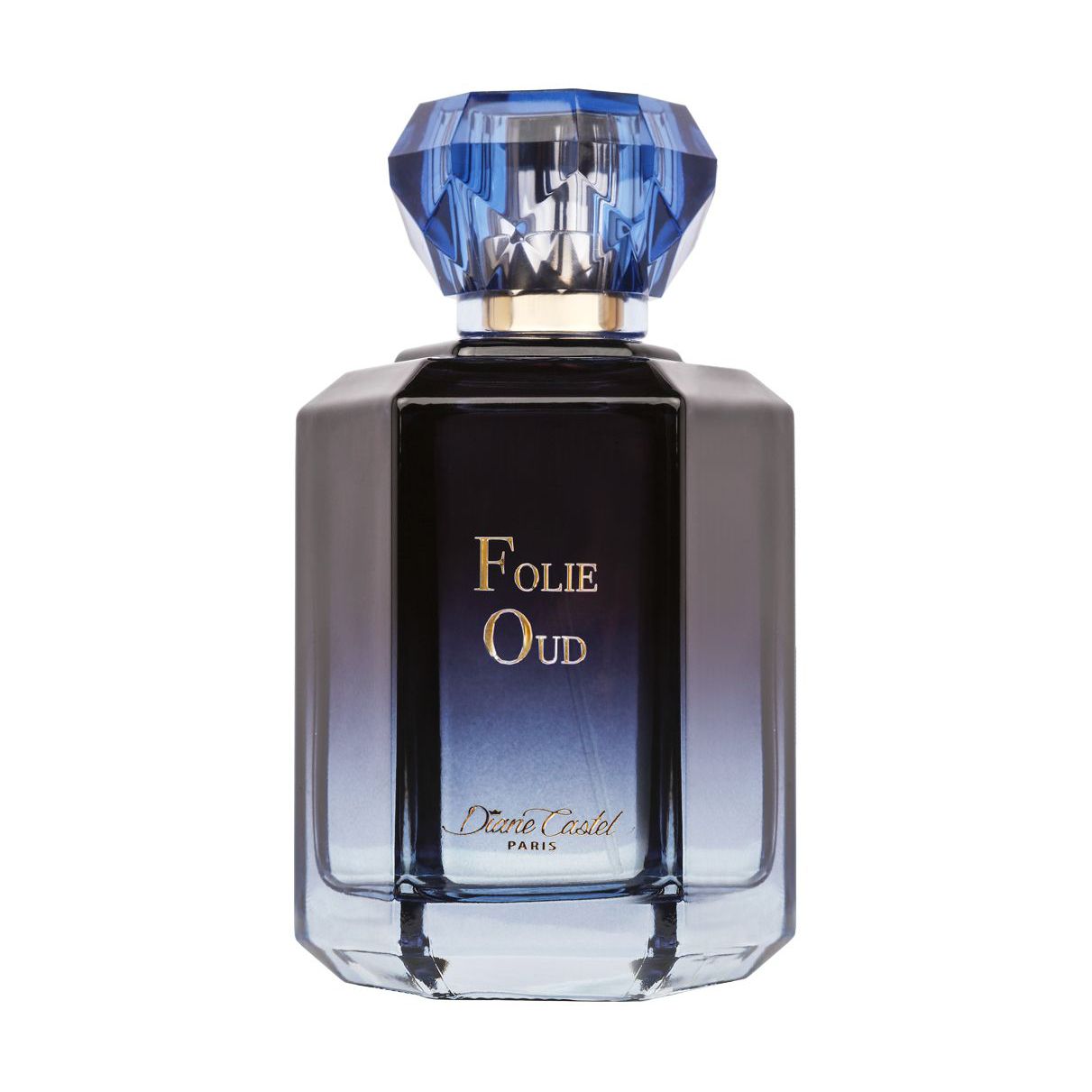 Diane Castel Folie Oud Парфумована вода жіноча, 100 мл — купити на EVA ...