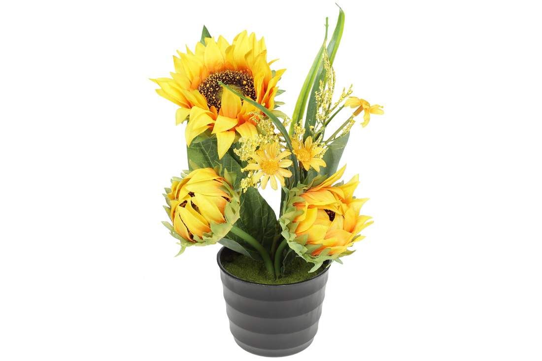 Декоративні Соняшники в горщику Li100328 Bonadi 25см 987956 — купить