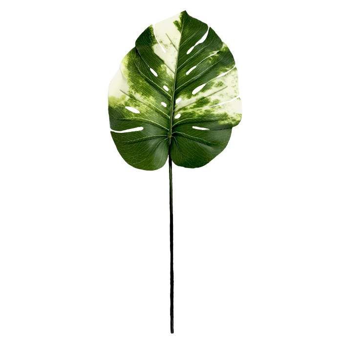 Штучний листок Engard Monstera Alba 78 см (TW-55) (989174) — купити на EVA.UA — ціна 134 грн