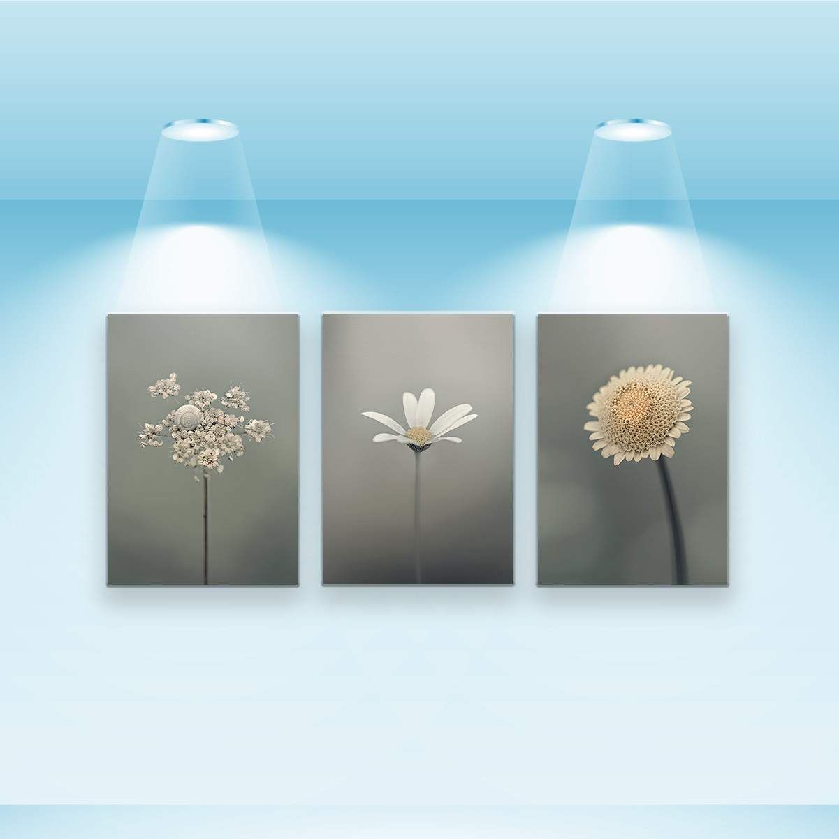 Набор постеров Riviera Blanca Цветочная мгла (PS-002) 3 шт в наборе ...