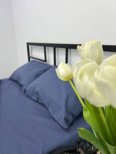 Наволочки 50х50 Бязь Gold Luxe на блискавці джинс (1183764) — купити на EVA.UA — ціна 114 грн