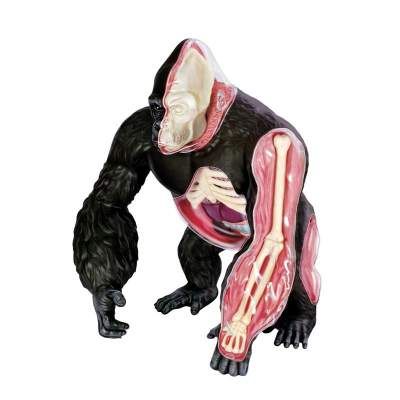 Пазл 4D Master Горила (FM-622012) (1575128) — купить на EVA.UA — цена ...