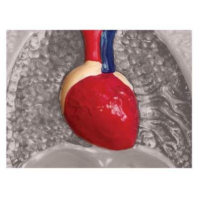 Пазл 4D Master Горила (FM-622012) (1575128) — купить на EVA.UA — цена ...