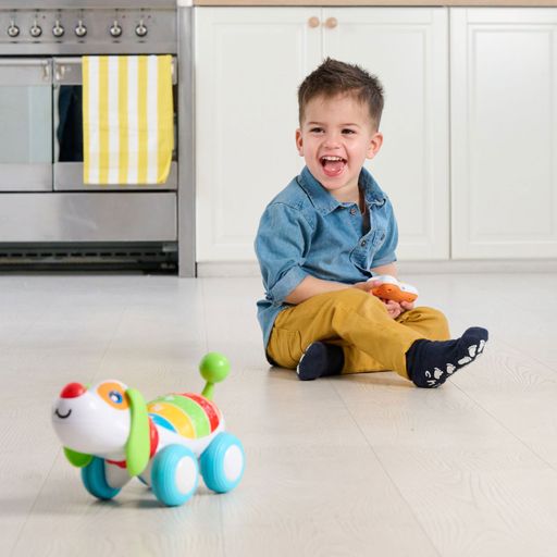 Музична іграшка на радіокеруванні Chicco Песик DogReMi (11545.00 ...