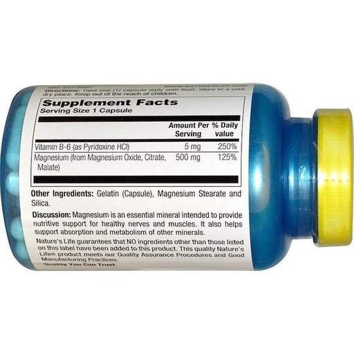 Мікроелемент Магній Nature's Life Magnesium 500 mg 100 Caps NLI-00437 ...
