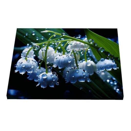 Набір постерів Riviera Blanca В краплях дощу (PS-157) 2 шт в наборі ...