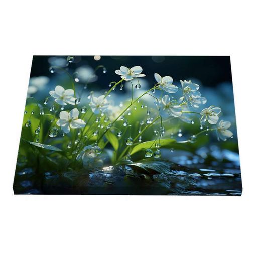 Набір постерів Riviera Blanca В краплях дощу (PS-157) 2 шт в наборі ...